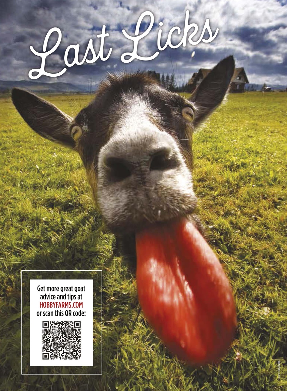 Hobby Farms Magazine - Goat-101 Subscriptions | Pocketmags