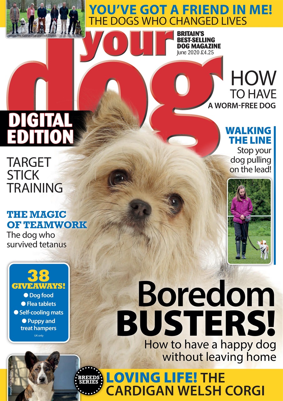 Your Dog Magazine - Your Dog Magazine June 2020 Back Issue