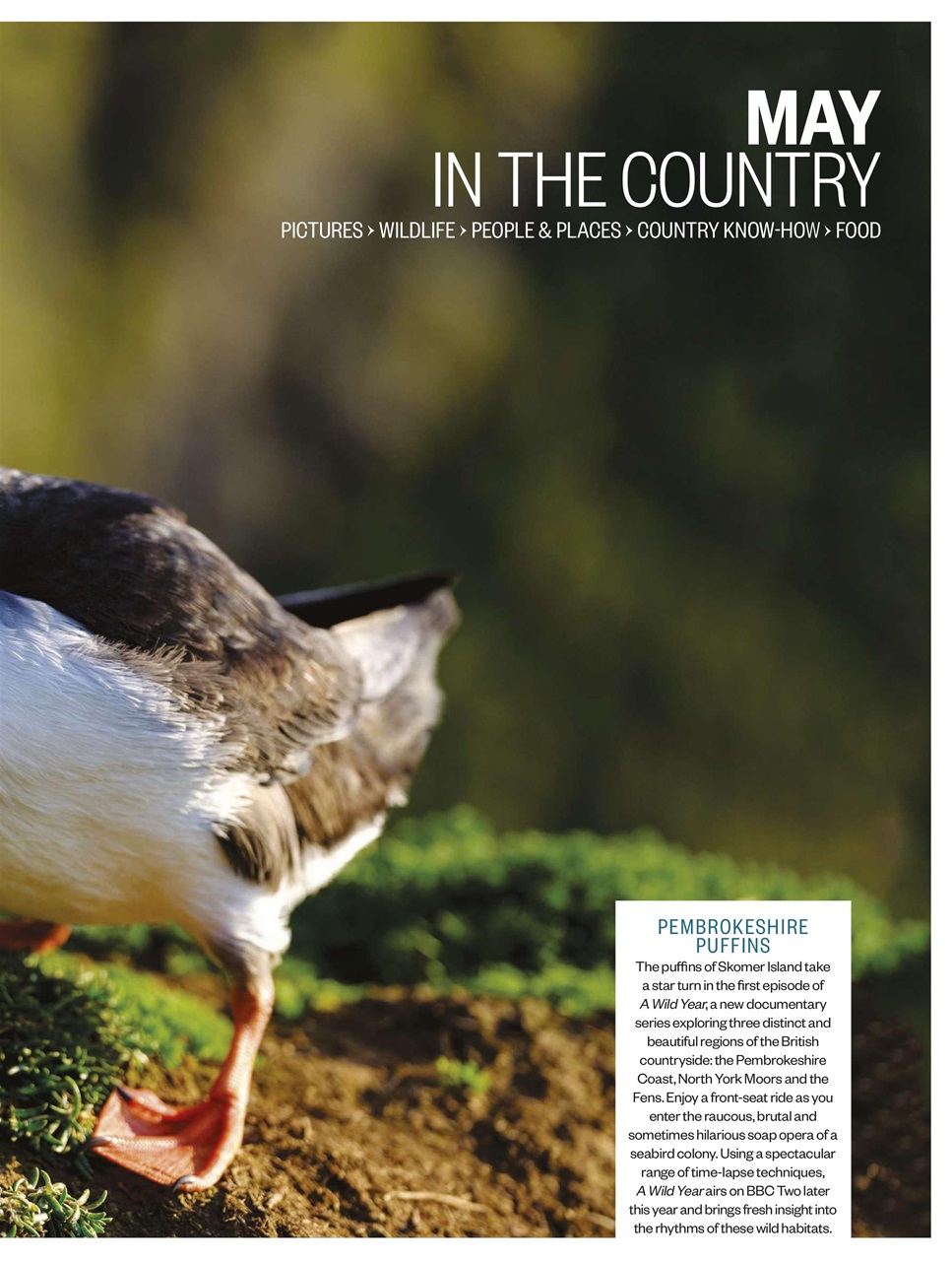 BBC Countryfile Magazine - May 2020 Back Issue