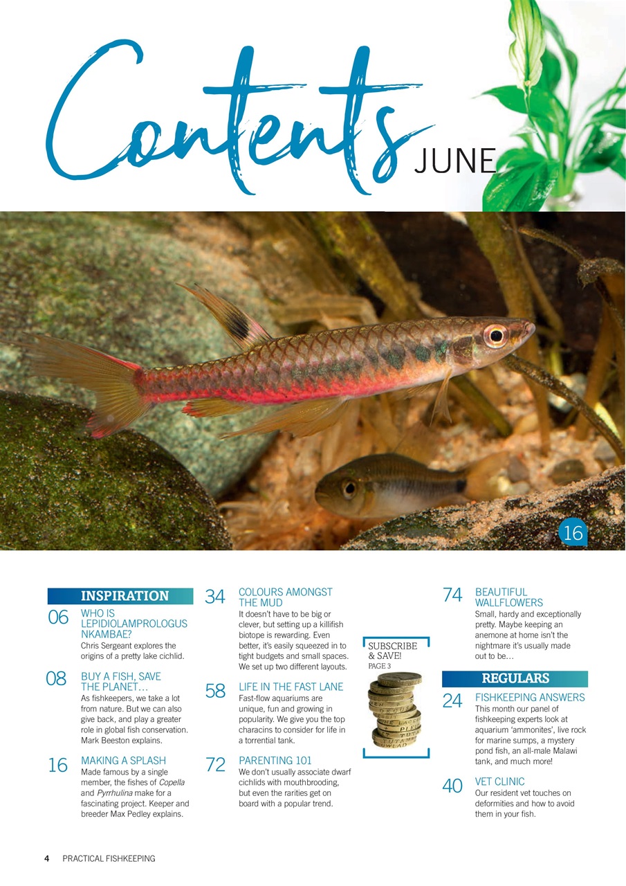 Practical Fishkeeping Magazine - Practical Fishkeeping Magazine June ...