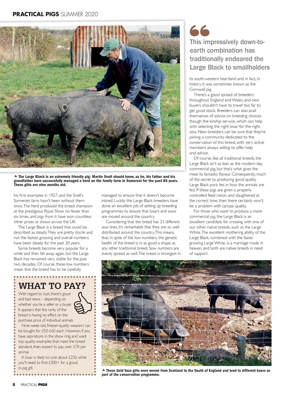 Practical Pigs Magazine - Summer 2020 Back Issue