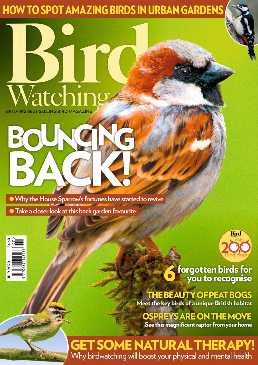 Bird Watching Magazine - Jul 20 Subscriptions | Pocketmags