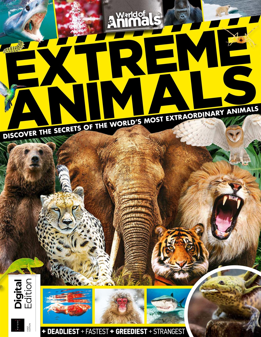 Extreme Animals Magazine - World of Animals Extreme Animals ...