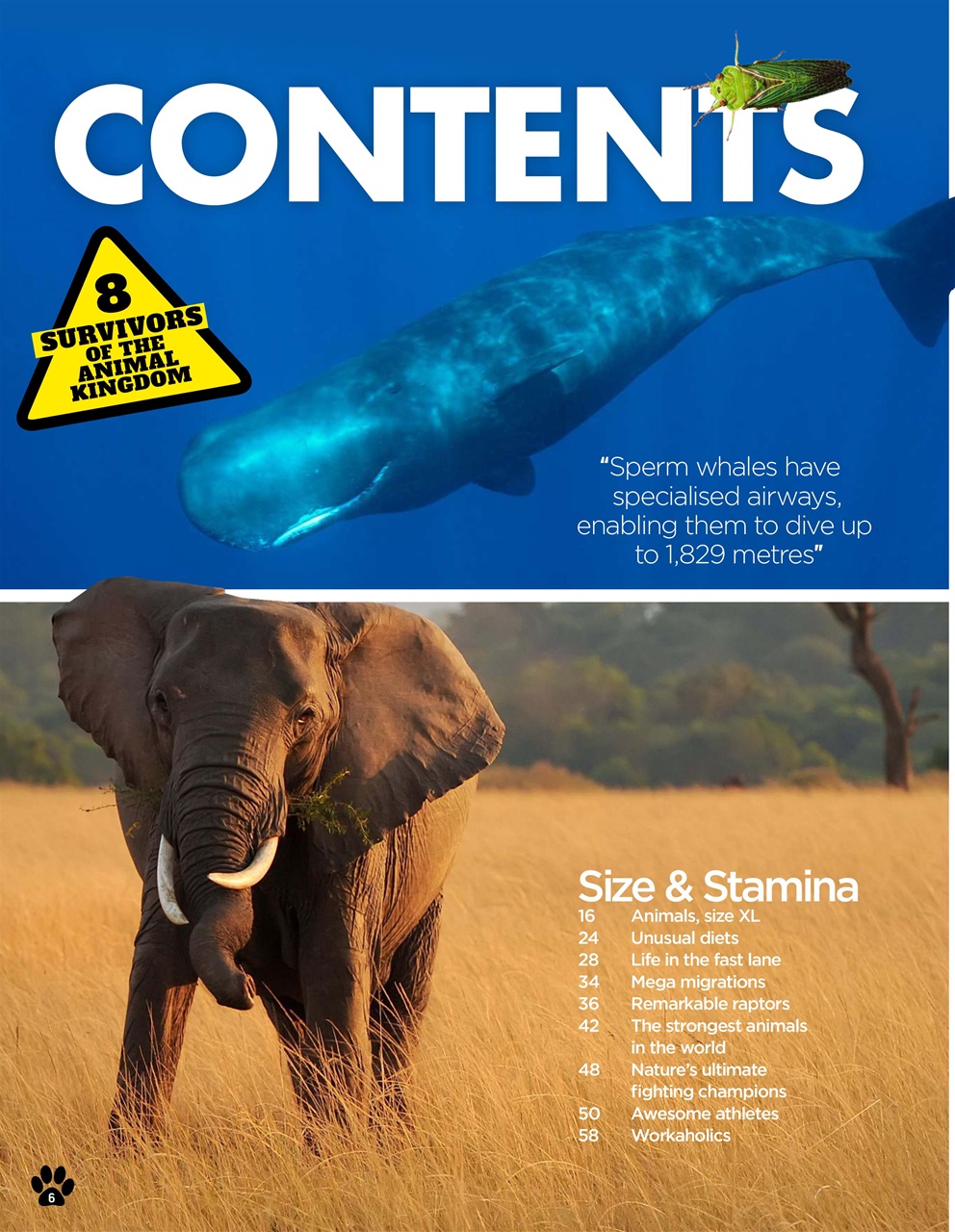 Extreme Animals Magazine Subscriptions and World of Animals Extreme ...