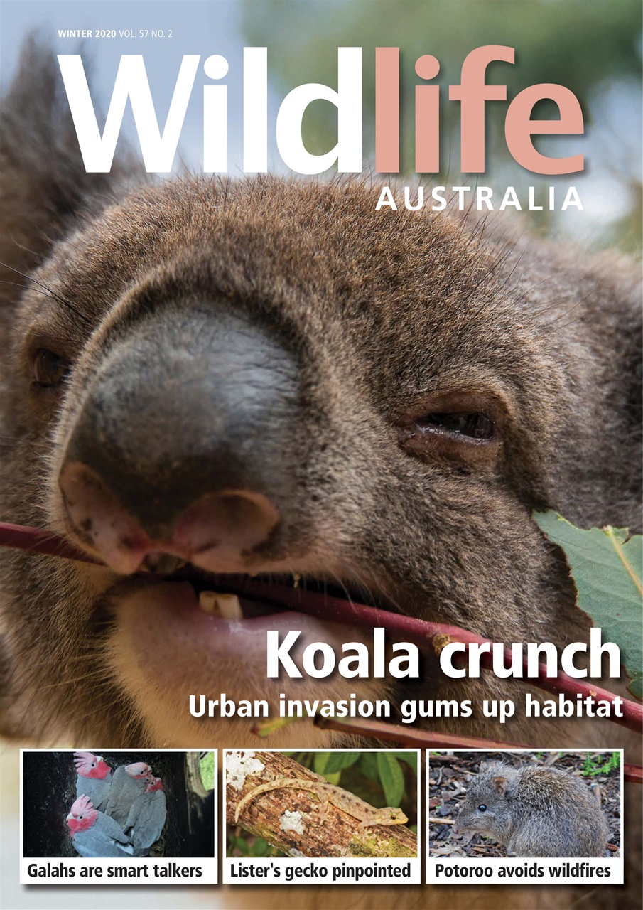 Wildlife Australia Magazine - Wildlife Australia Magazine Winter 2020 ...