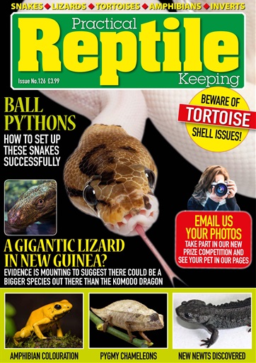 Practical Reptile Keeping Magazine - Issue 126 Back Issue