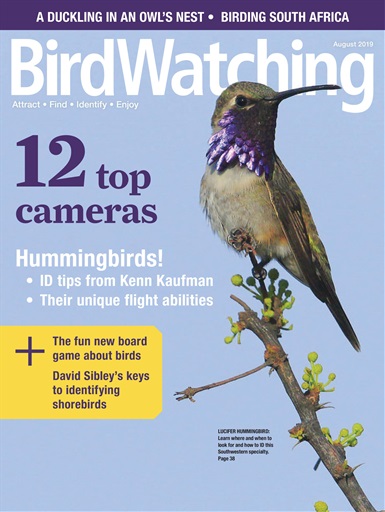 BirdWatching Magazine - Jul/Aug 2019 Back Issue