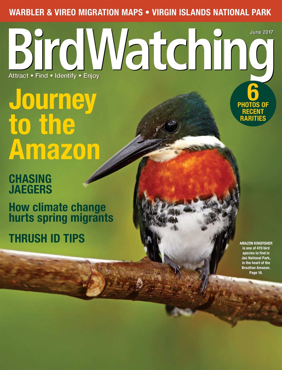 BirdWatching Magazine - May/ Jun 2017 Back Issue
