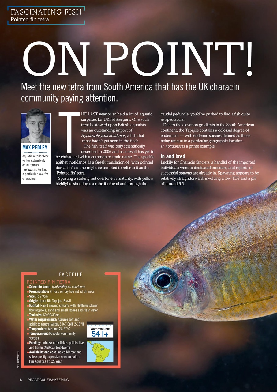 Practical Fishkeeping Magazine - Practical Fishkeeping Magazine August ...