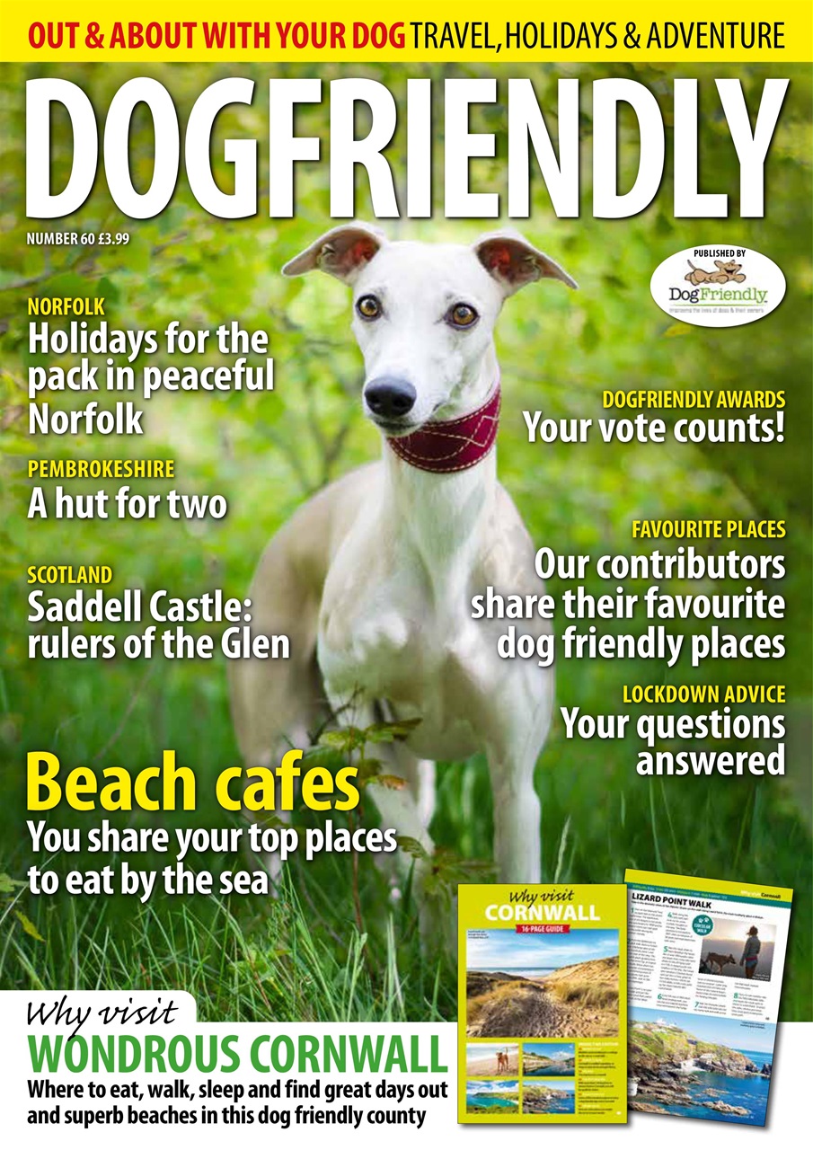 Dog Friendly Magazine - Jul-Aug 2020 Subscriptions | Pocketmags