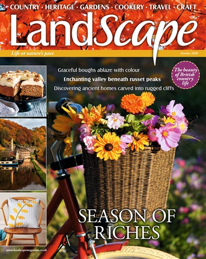 LandScape Magazine - October 2020 Back Issue