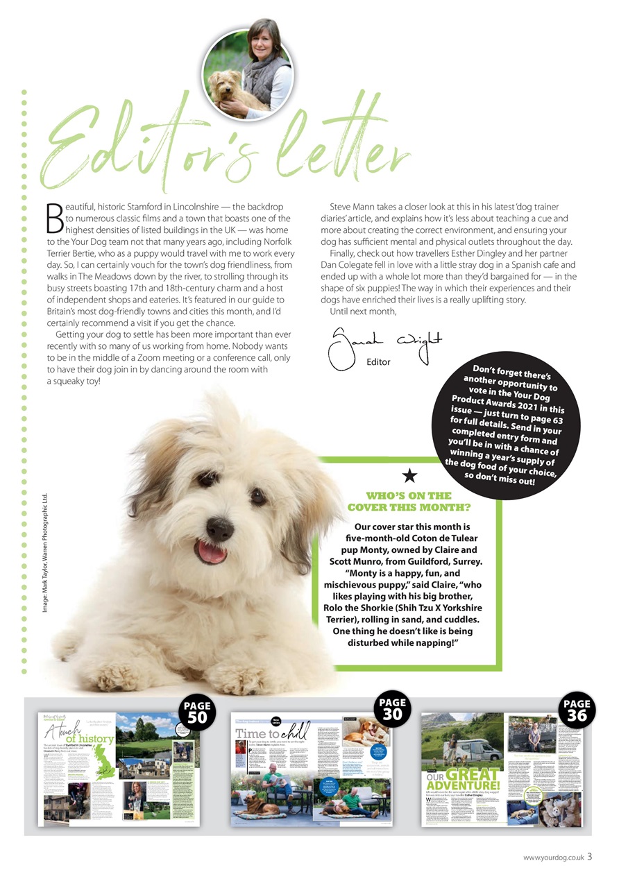 Your Dog Magazine - Your Dog Magazine October 2020 Subscriptions ...