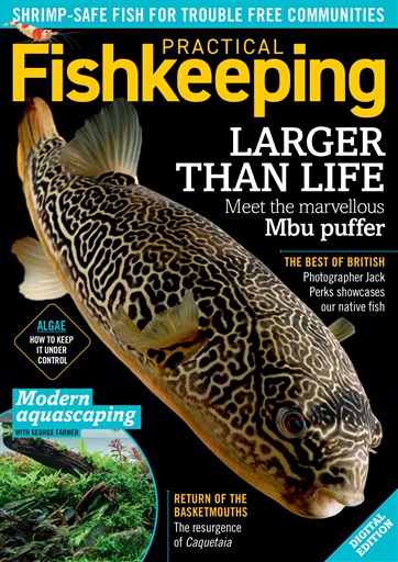 Practical Fishkeeping Magazine - Practical Fishkeeping Magazine October ...