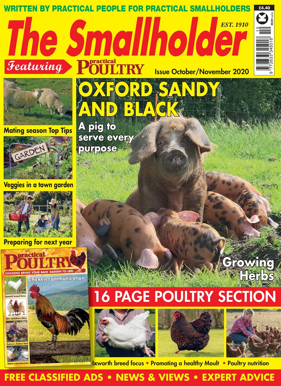 The Smallholder Magazine - Oct/Nov 2020 Back Issue