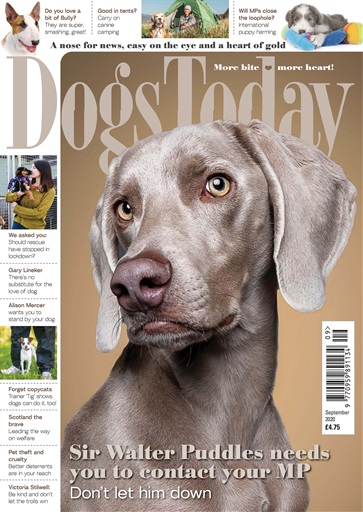 Dogs Today Magazine - September 2020 Back Issue