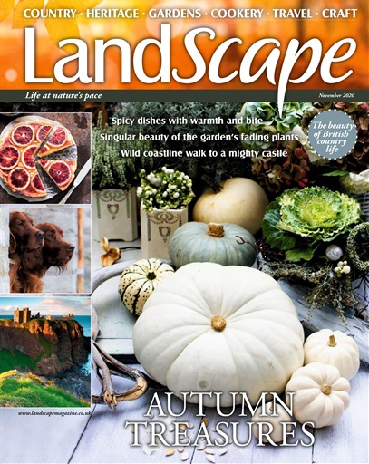 LandScape Magazine - November 2020 Back Issue