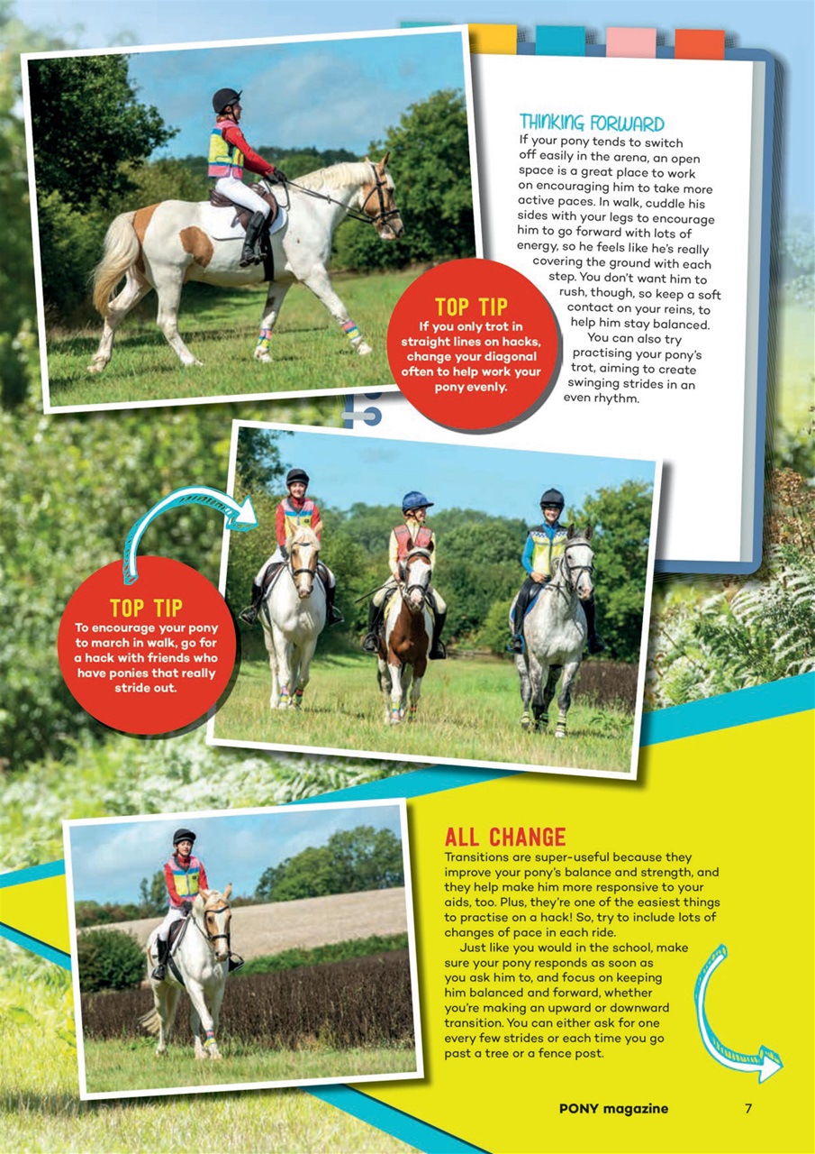 Pony Magazine - PONY Magazine – November 2020 Back Issue