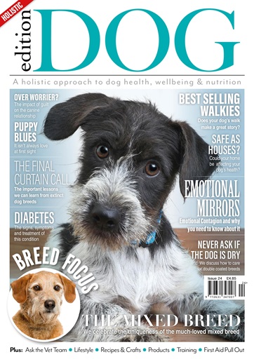 Edition Dog Magazine - Issue 23 Back Issue