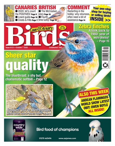 Cage & Aviary Birds Magazine - 07-10-2020 Back Issue