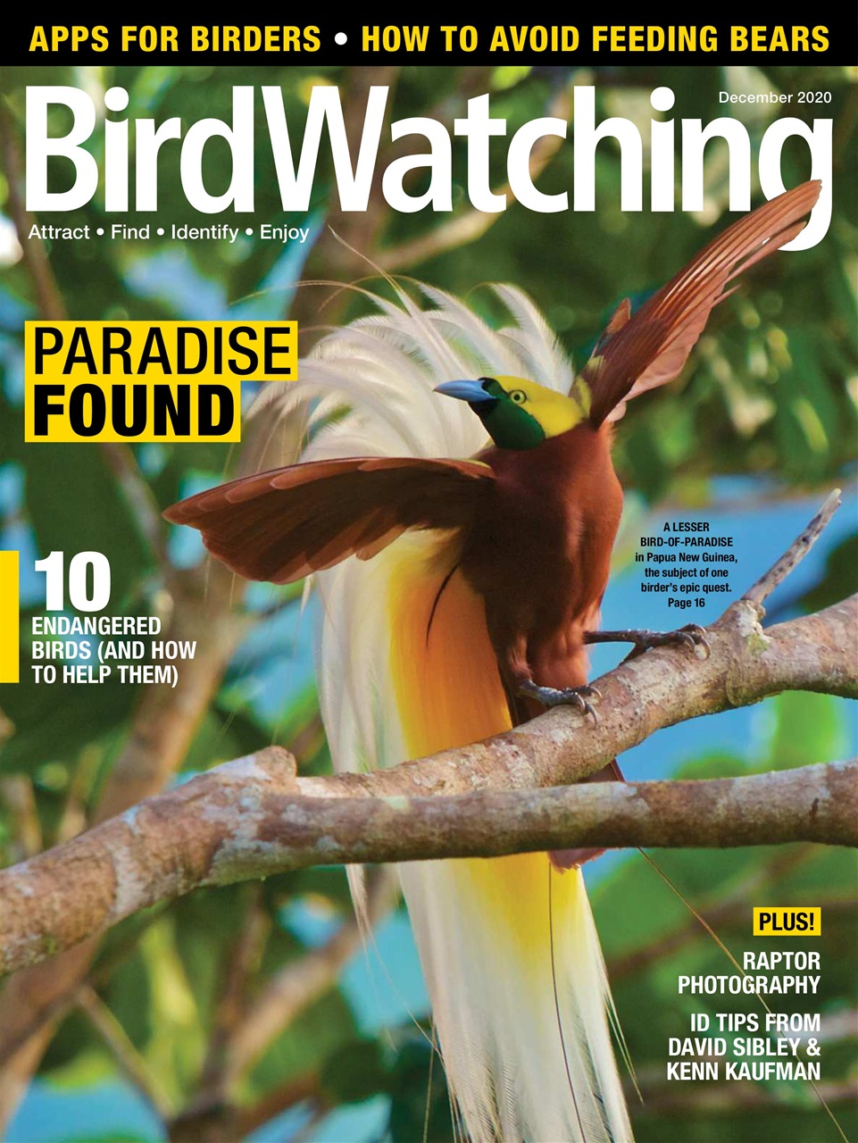 BirdWatching Magazine - Nov/Dec 2020 Back Issue