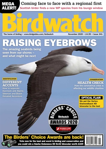 Birdwatch Magazine - November 2020 Back Issue