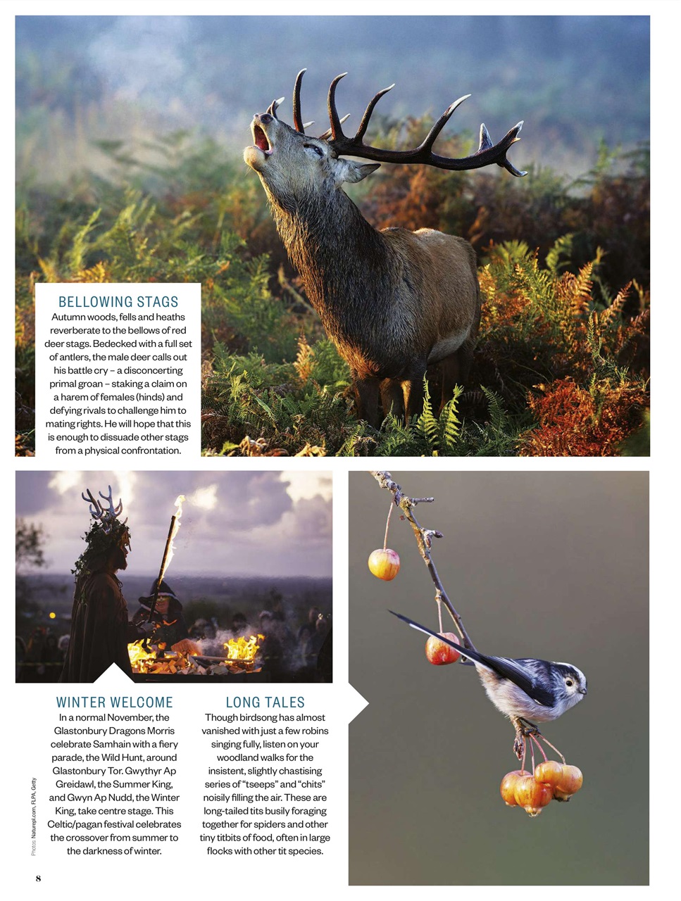 BBC Countryfile Magazine - November 2020 Subscriptions | Pocketmags