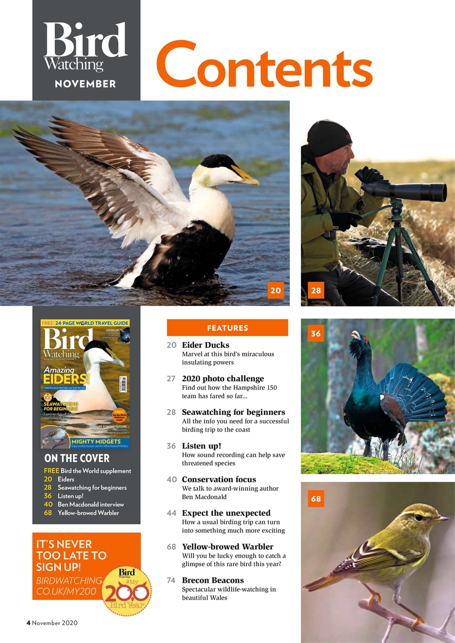 Bird Watching Magazine - Nov 20 Subscriptions | Pocketmags