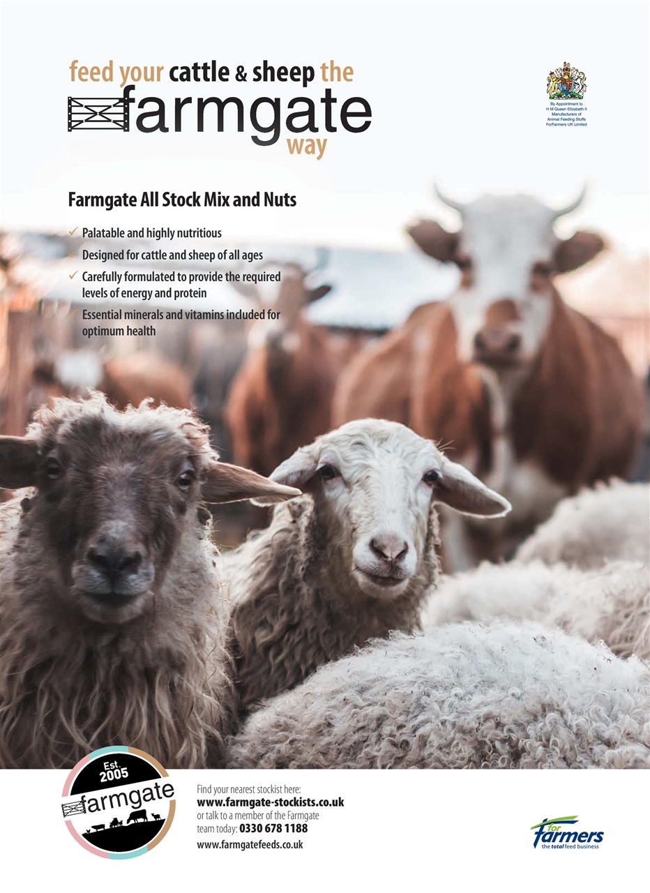 The Smallholder Magazine - Dec/Jan 2021 Back Issue