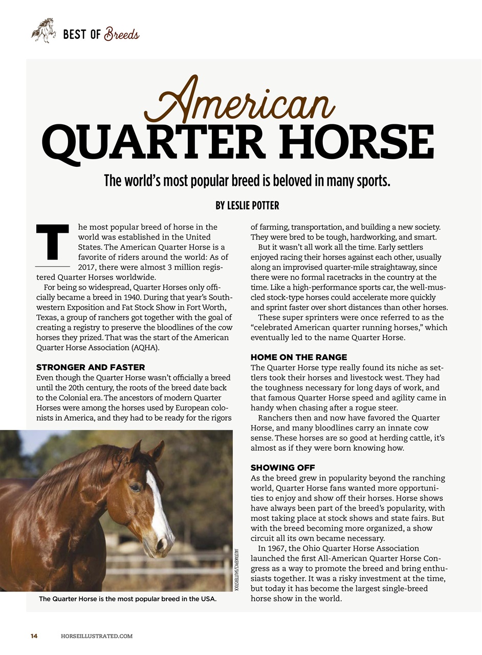 Horse Illustrated Magazine - Best of Breeds Special Issue