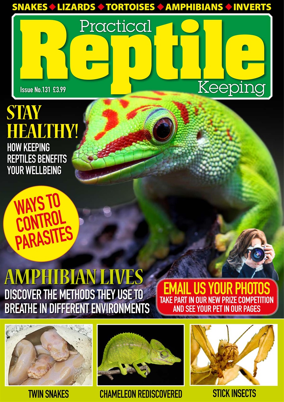 Practical Reptile Keeping Magazine - Issue 131 Subscriptions | Pocketmags