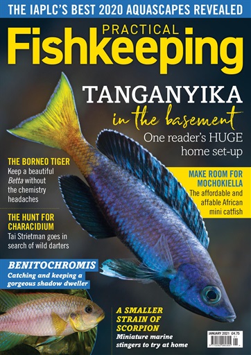 Practical Fishkeeping Magazine - Practical Fishkeeping Magazine January ...