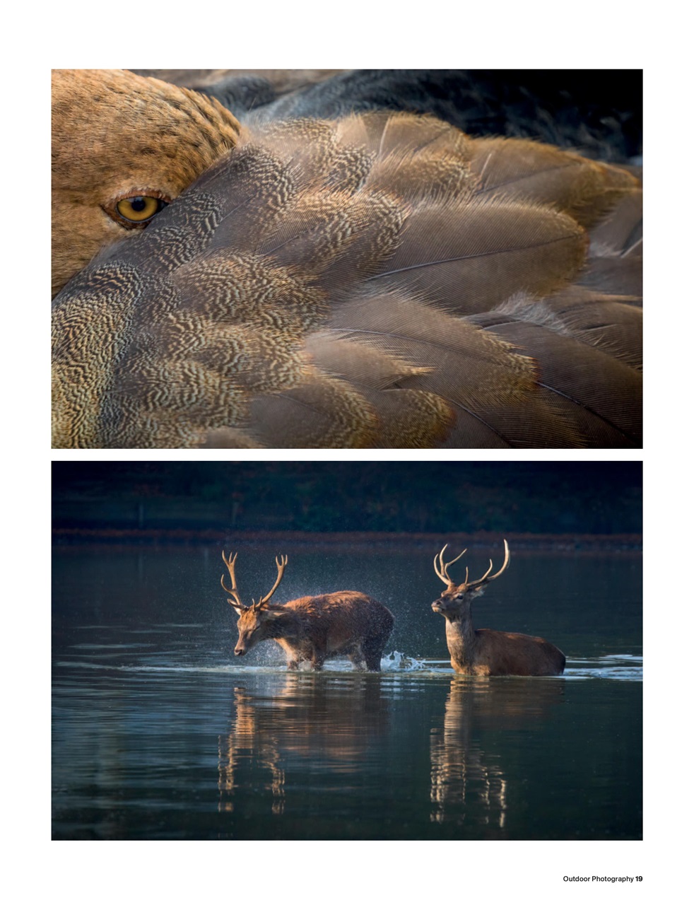 Outdoor Photography Magazine - Issue 263 Subscriptions | Pocketmags