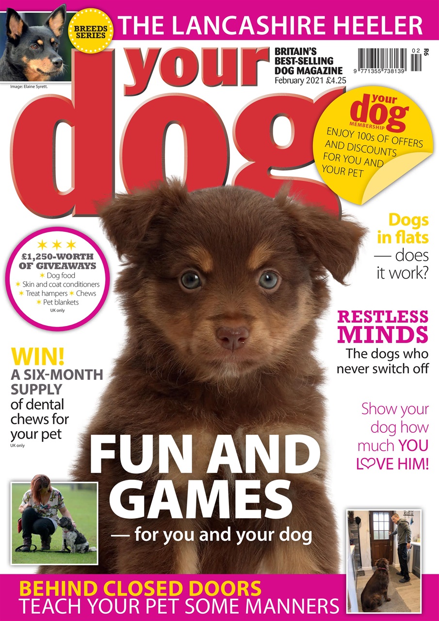 Your Dog Magazine - Your Dog Magazine February 2021 Back Issue