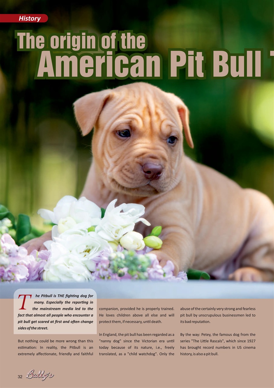 Bully’s - The Bulldog Magazine - Winter 2020 Back Issue