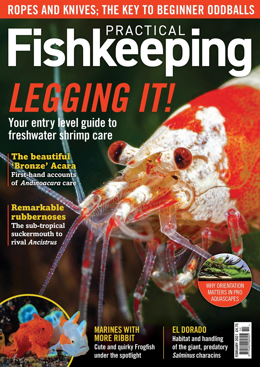 Practical Fishkeeping Magazine - Practical Fishkeeping Magazine ...