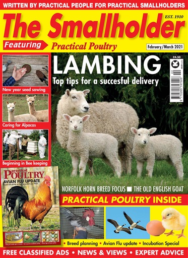 The Smallholder Magazine - Feb/Mar 2021 Vorige editie