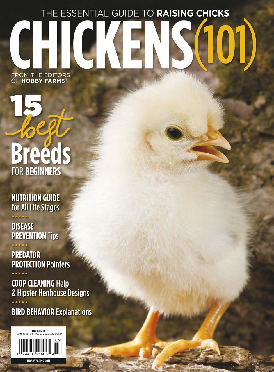 Chickens Magazine - Chickens 101 Special Issue