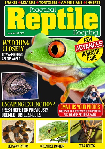 Practical Reptile Keeping Magazine - January 2021 Back Issue