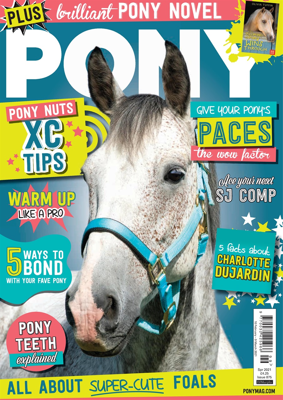 Pony Magazine - PONY Magazine – Spring 2021 Subscriptions | Pocketmags