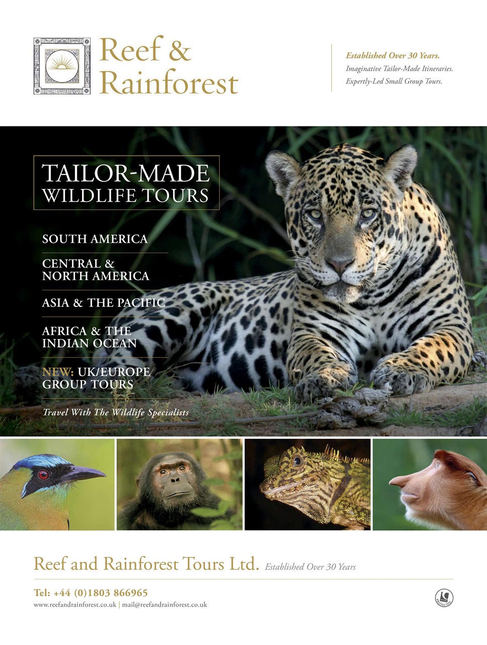 BBC Wildlife Magazine - Mar-21 Subscriptions | Pocketmags