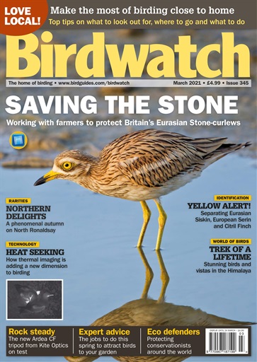 Birdwatch Magazine - March 2021 Back Issue