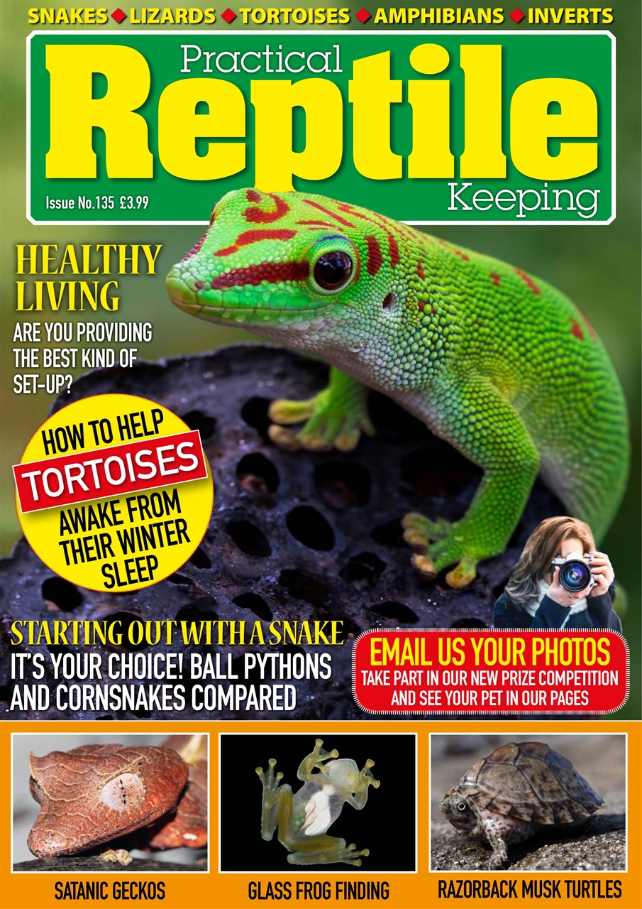 Practical Reptile Keeping Magazine - February 2021 Back Issue Practical Reptile Keeping Magazine - February 2021 Back Issue