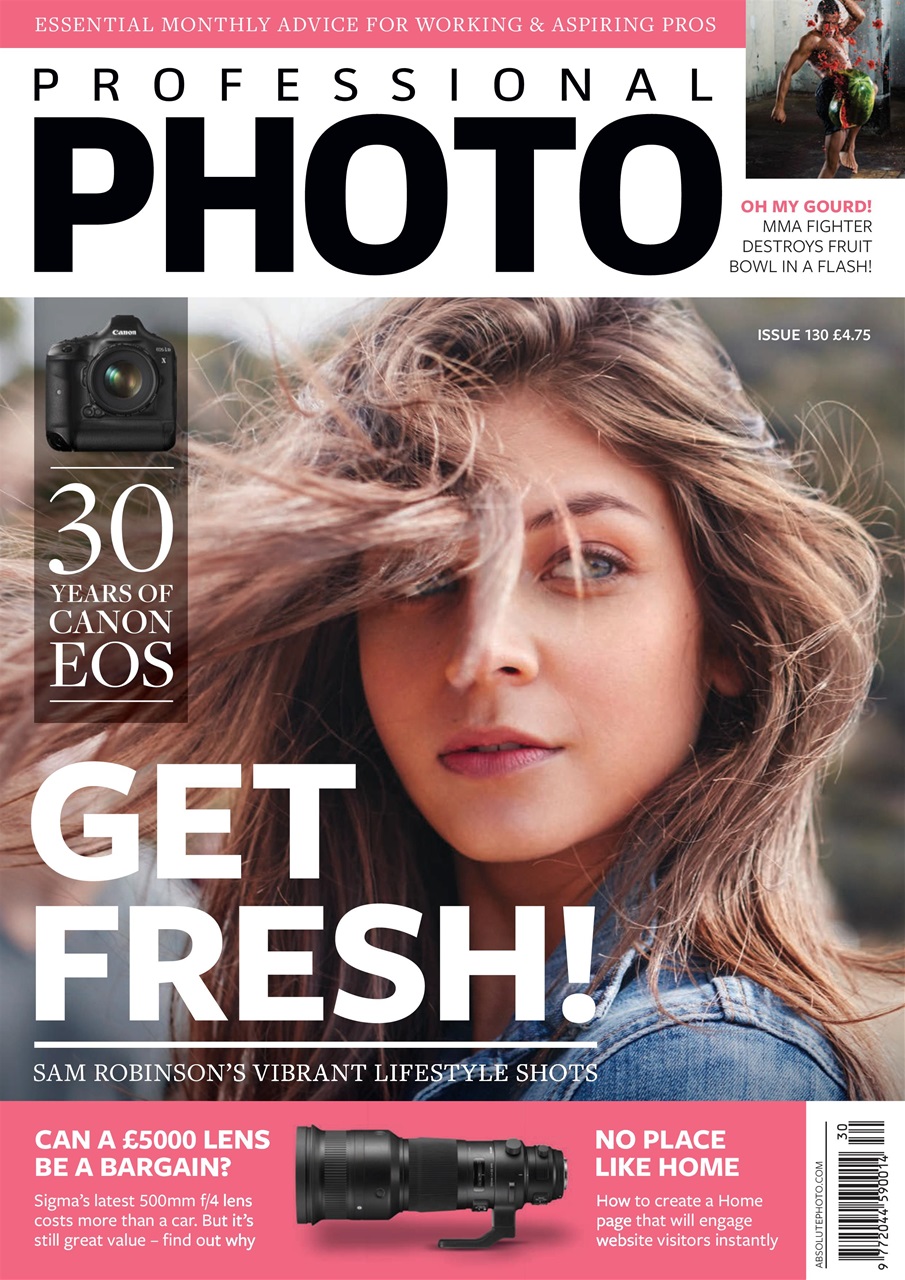 Professional Photo Magazine - Professional Photo 130 Back Issue