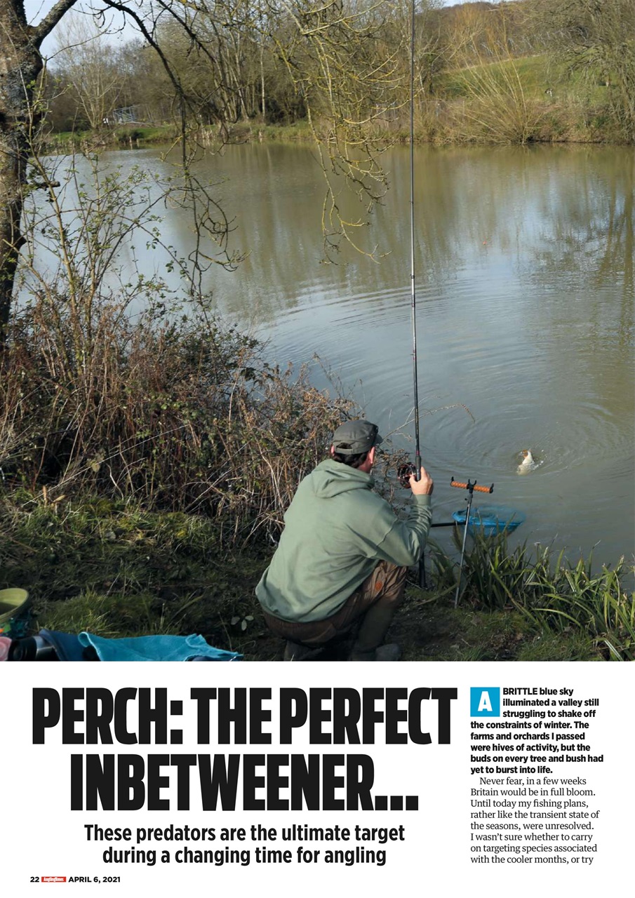 Angling Times Magazine - 6th Apr 2021 Subscriptions | Pocketmags