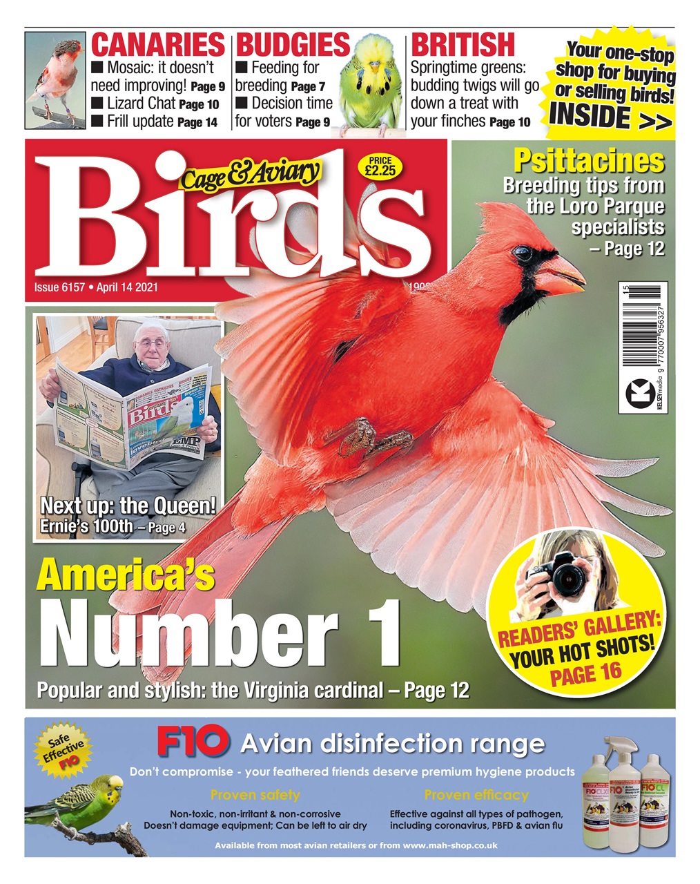 Cage & Aviary Birds Magazine - 14/04/2021 Subscriptions | Pocketmags