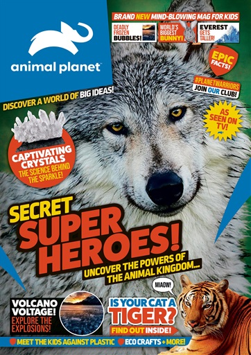 Animal Planet Kids Magazine - Issue 3 Back Issue