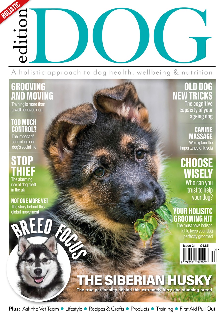 Edition Dog Magazine - Issue 31 Back Issue