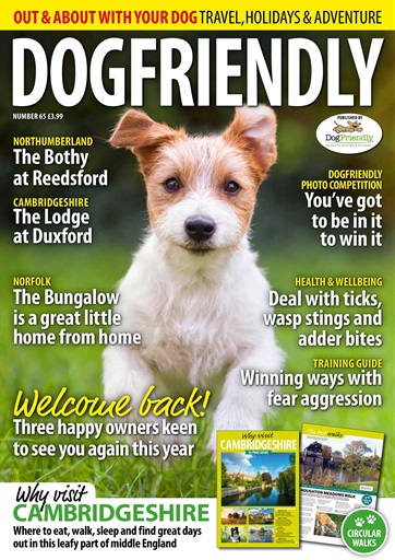 Dog Friendly Magazine - May-Jun 21 Back Issue