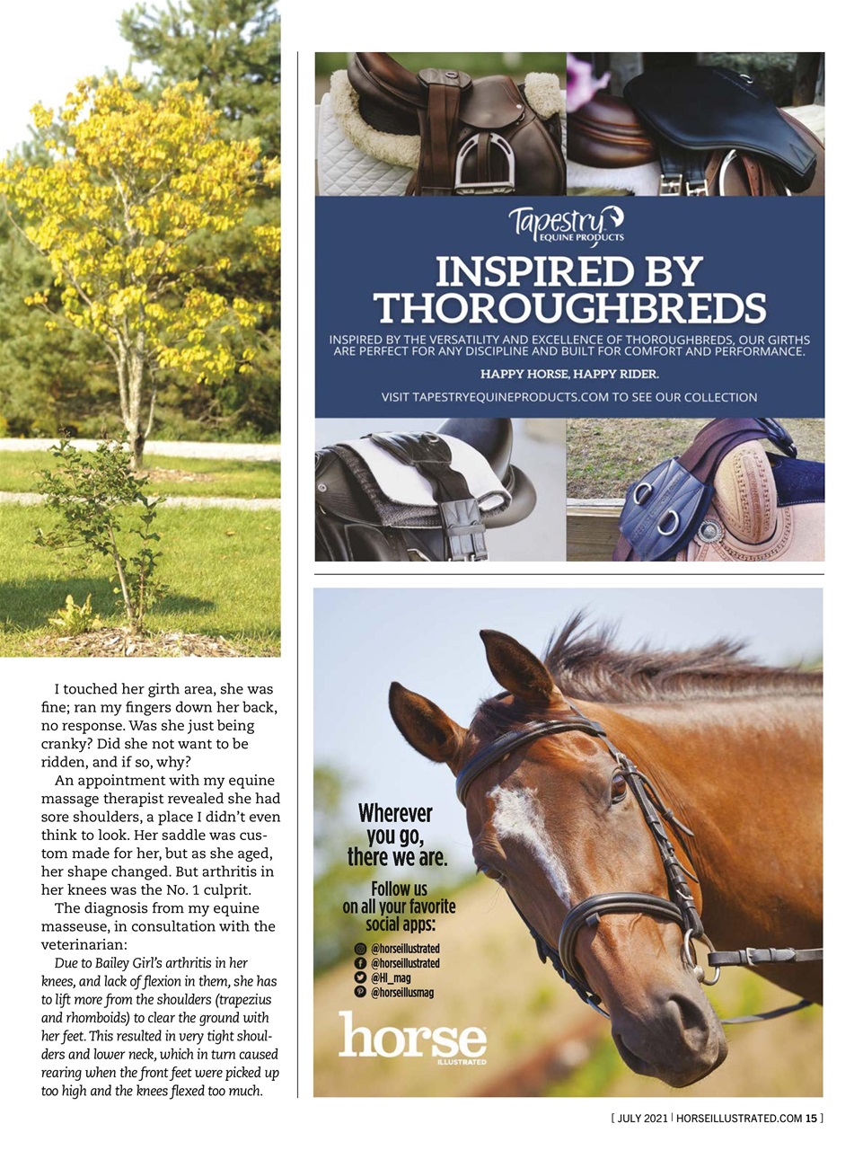 Horse Illustrated Magazine - July 2021 Subscriptions | Pocketmags