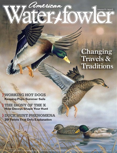 American Waterfowler Magazine - Volume XII, Issue II – June/July 2021 ...